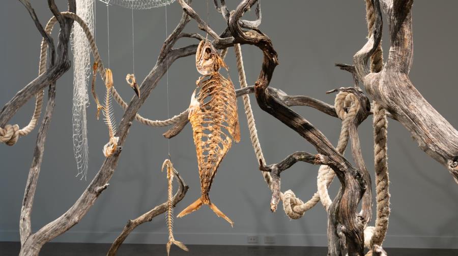 Matilda Davis: The White Man's Web | Our Fraser Coast